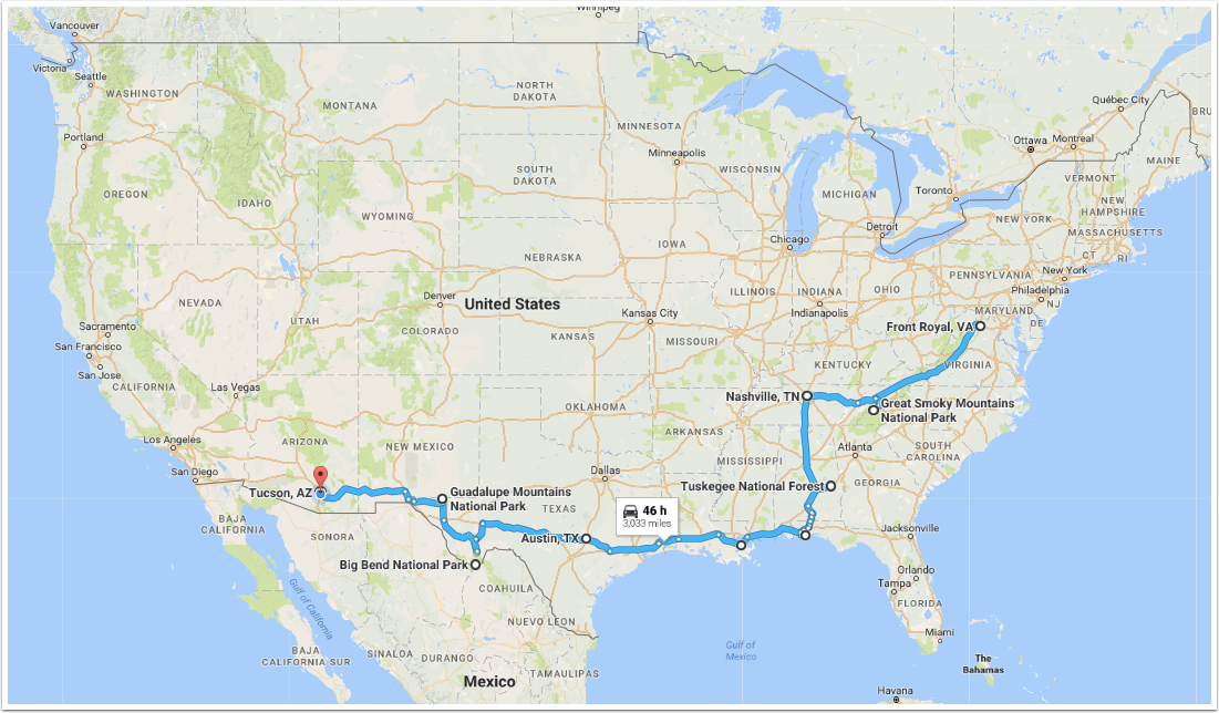 Wandering Log | April 2017